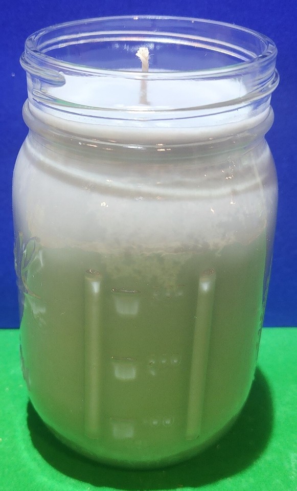 16oz Jar candle, Max Scented 100% Soy Wax over 100 Scents | eBay