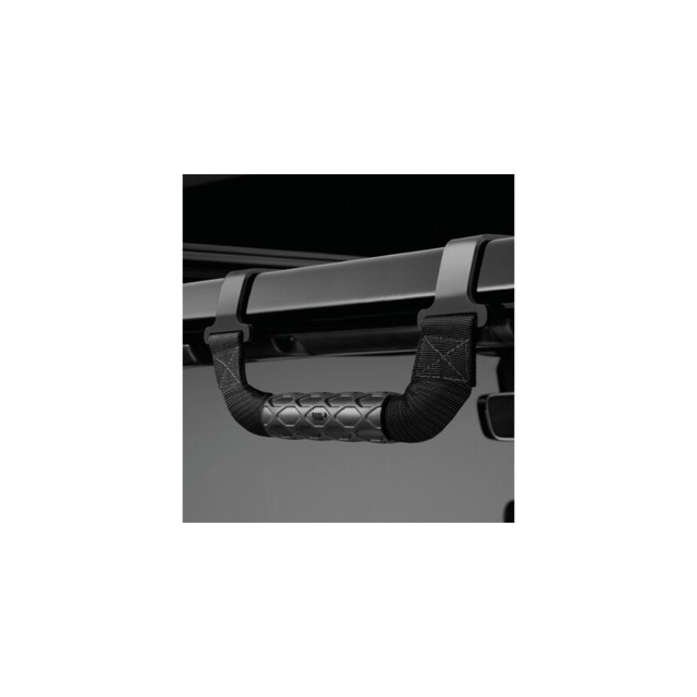 Genuine Mopar Interior Grab Handles 82215523AC for sale online | eBay