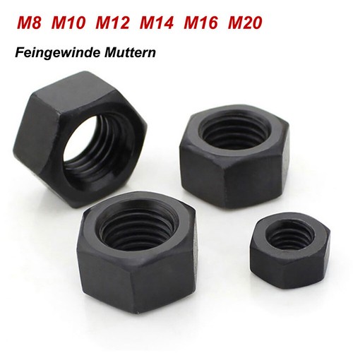 Sechskantmuttern M8 M10 M12 M14 M16 M20 Schwarzer Stahl Feingewinde ...