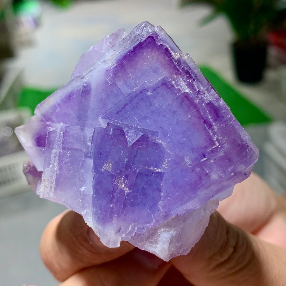 109G Rare transparent purple green cubic fluorite mineral crystal ...