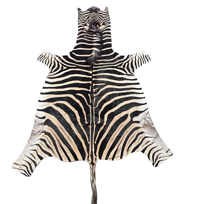 Real Zebra Skin Rug Hide # 50 Size: 8 X 6 feet Genuine Burchells Zebra ...