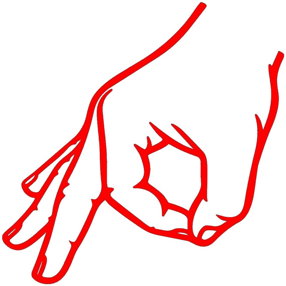 Gotcha! Hand Sign Car Vinyl Window Decal Graphic Laptop Sticker | eBay