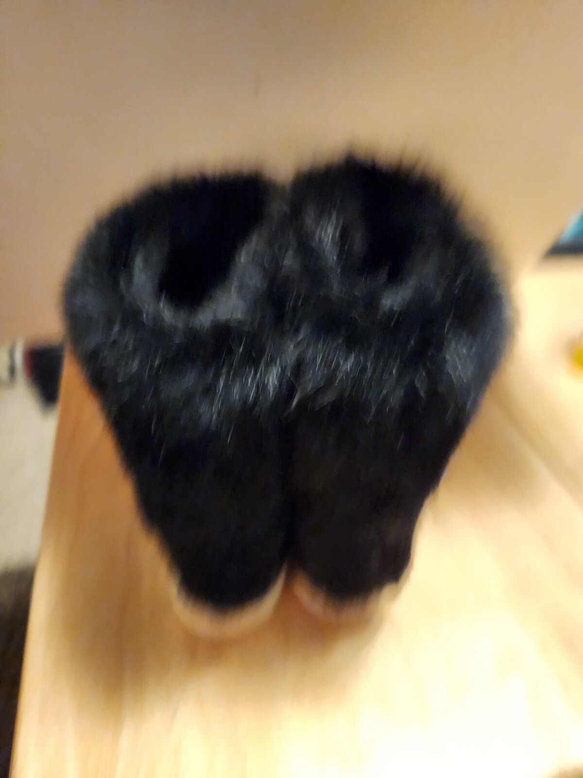 TORY BURCH BLACK ANGELICA BOOT RABBIT FUR SPLIT SUEDE SNEAKER 6M EUC | eBay