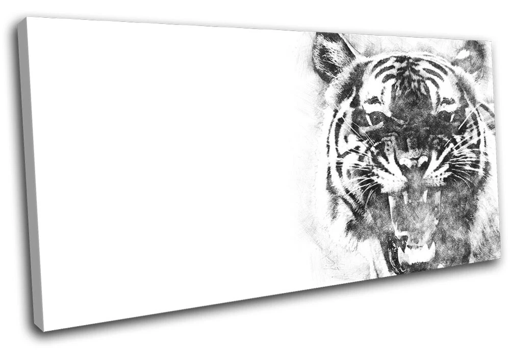 Abstract Tiger Line Drawing