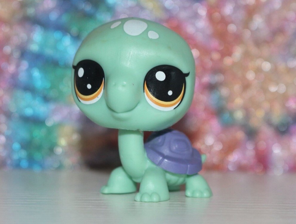 Littlest Turtles In Real Life