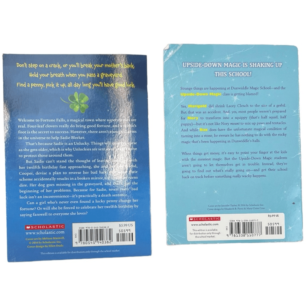 Fortune Falls and Upside-Down Magic: Sticks & Stones Books Lot of 2 ...