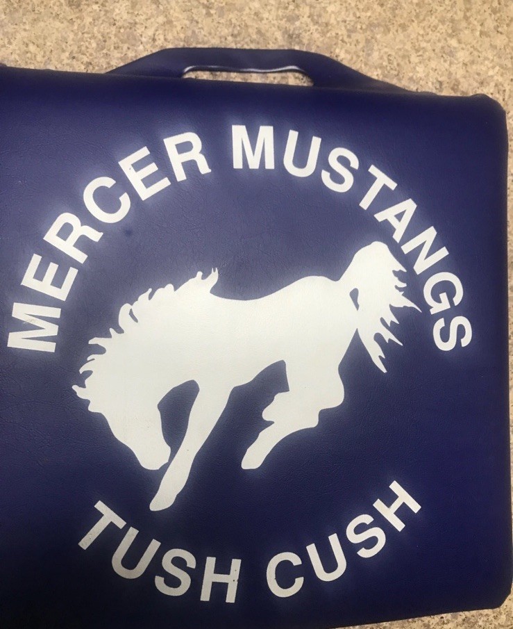 Mercer PA HIGH SCHOOL Pennsylvania Mustang logo Bleacher Seat Tush ...