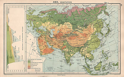 1931 MAP ASIA VEGETATION ~ VERTICAL DISTRIBUTION MOUNTAINS FOREST ...
