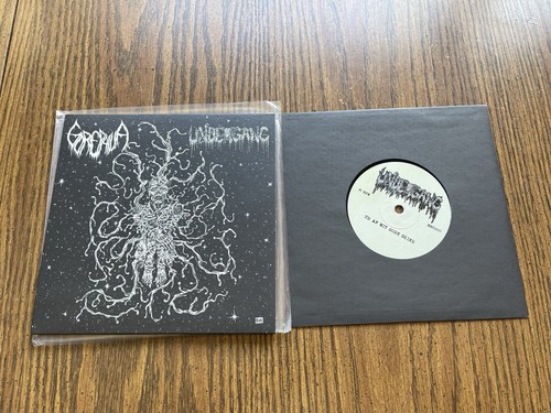 Undergang/Goreaphilia- Split 7” Death Metal Rottrevore | eBay