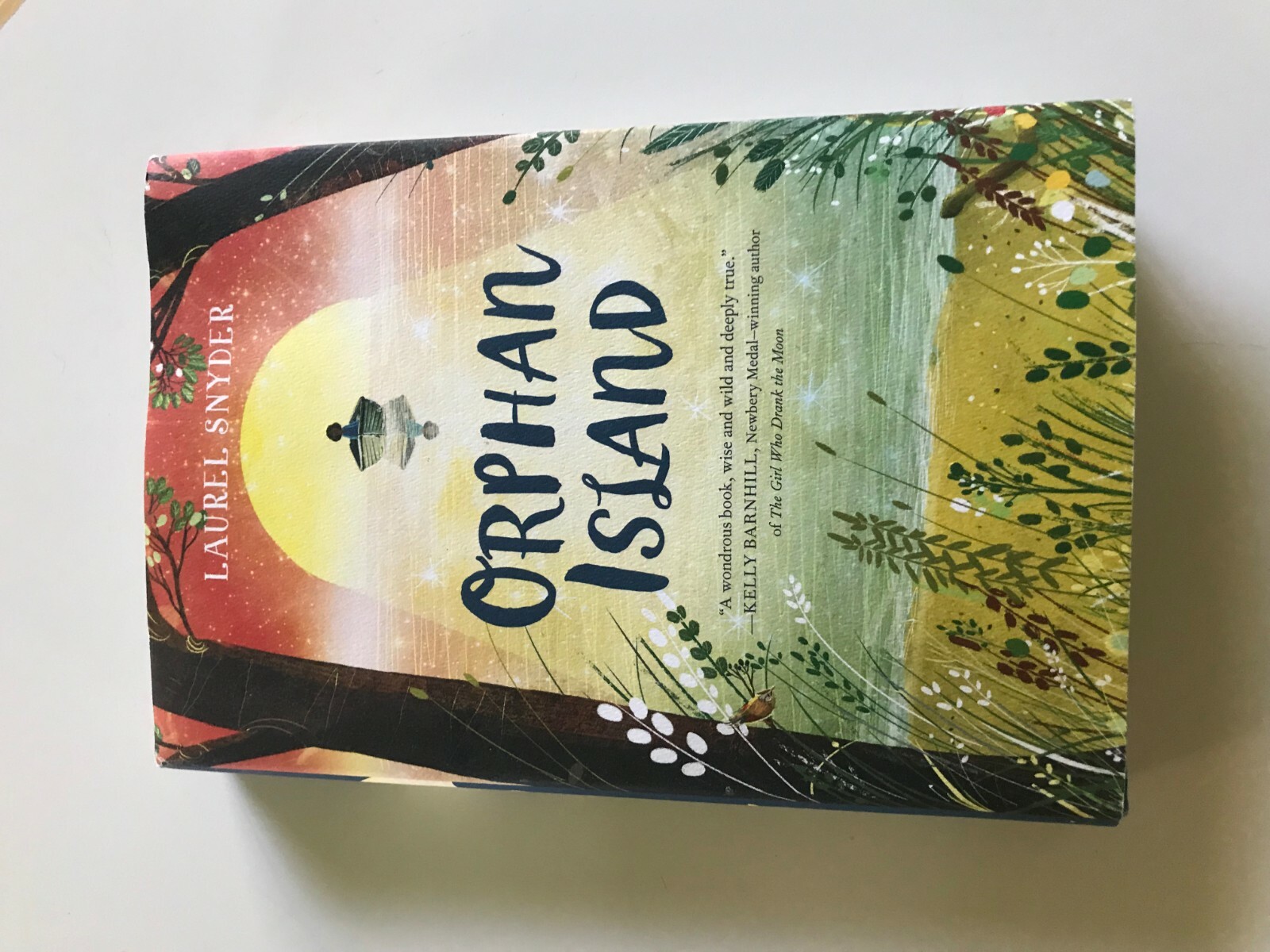 Orphan Island by Laurel Snyder | eBay