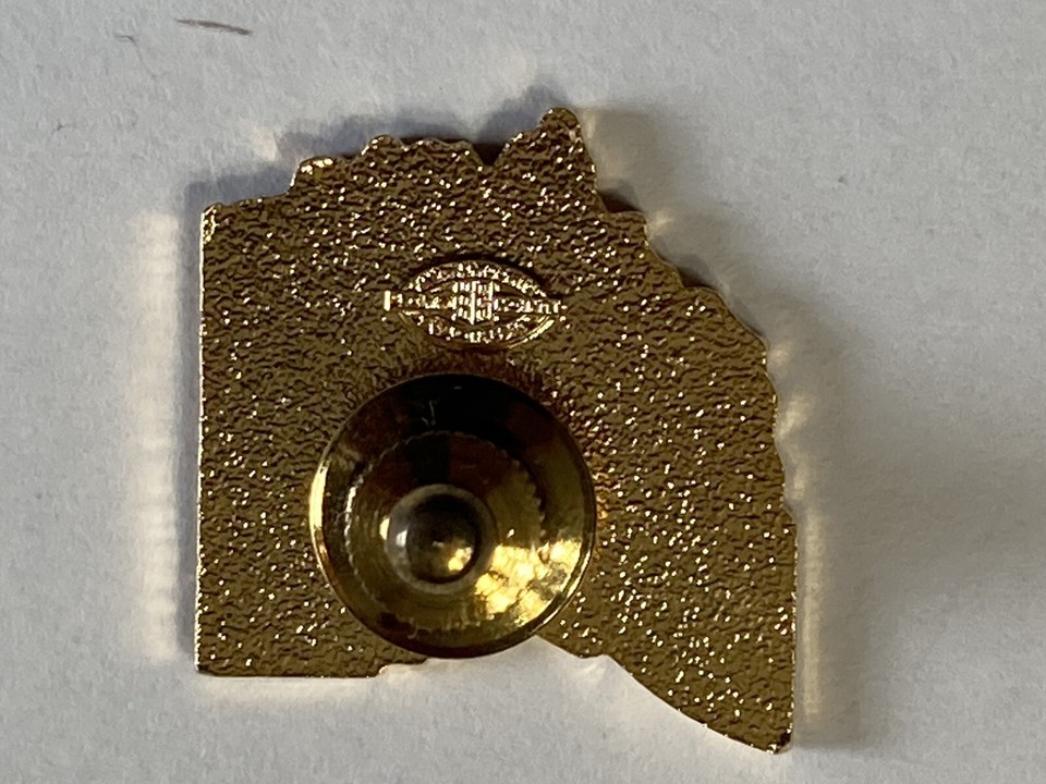 Vintage AFL-CIO OCSEA AFSCME Local 11 Lapel Pin | eBay