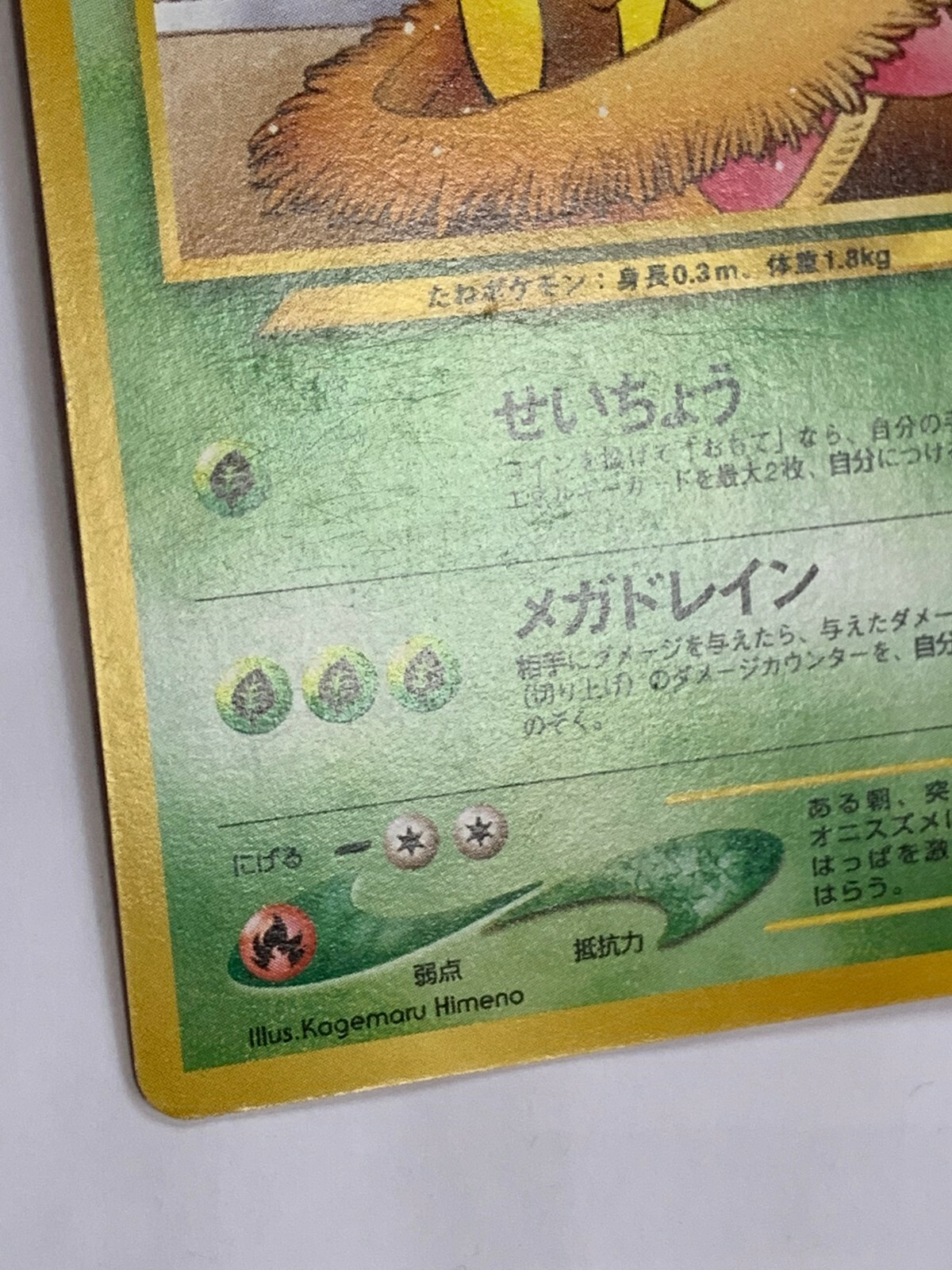 Sunkern Pokemon Card Game Pocket Monster Nintendo Japanese 1996 No.191 ...