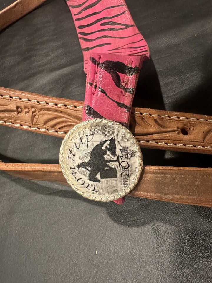 Leather Browband Headstall Texas Star Buckle Sets Trophy Conchos | eBay