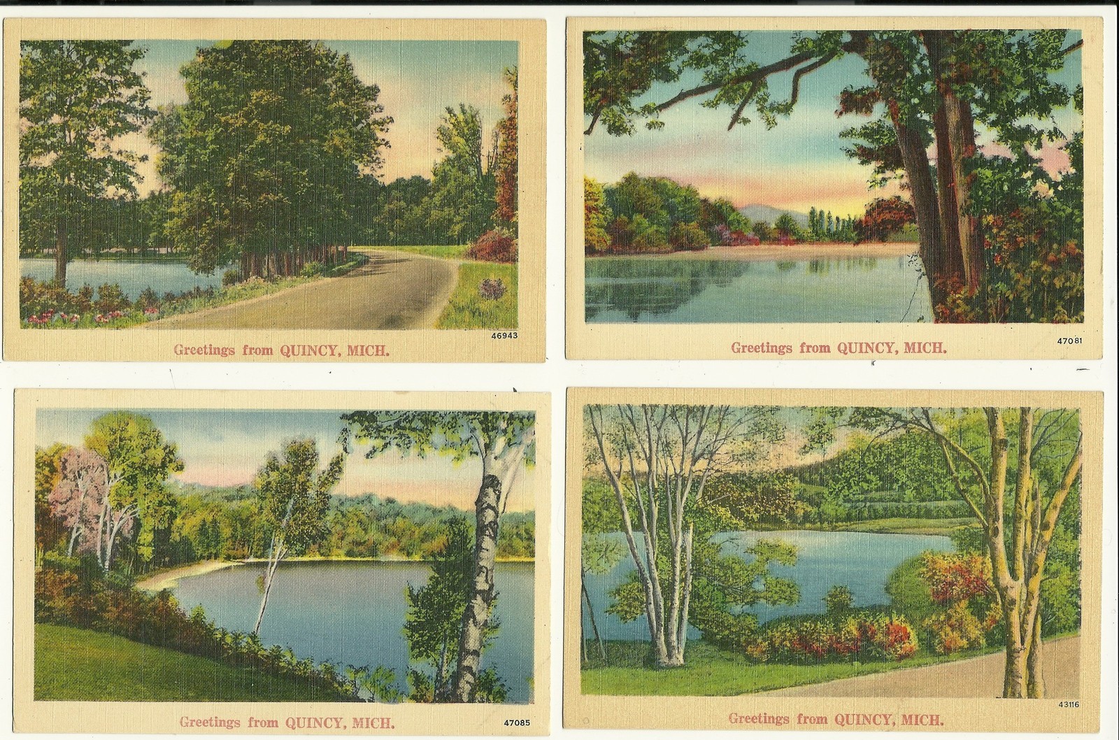Lot of 9 Vintage Michigan Postcards Quincy MI Mich | eBay