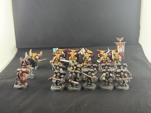 Blood Angels First Born Sanguinary Guard/Death Company Bundle Warhammer ...