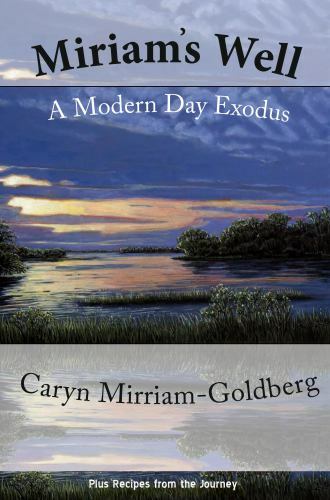 Miriam's Well by Mirriam-Goldberg, Caryn 9781888160970 | eBay