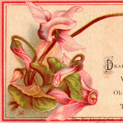 1884 Temperance Movement Abolitionist Alcohol Victorian Era Trade Card ...