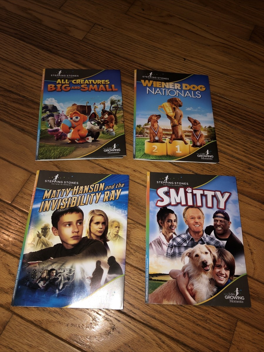 The Family Movie Dvd Cover