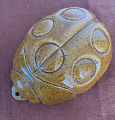 Ceramic Desert Lady Bug Mold | eBay