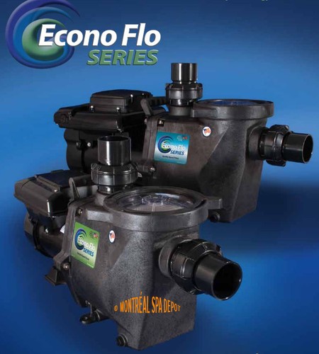 Econo Flo Pump VSA Waterway in-ground pool 165 VARIABLE SPEED motor ...