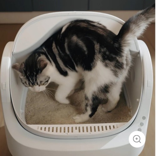 AutoScooper Cat Litter Box Self Cleaning, Automatic Cat Litter Box ...