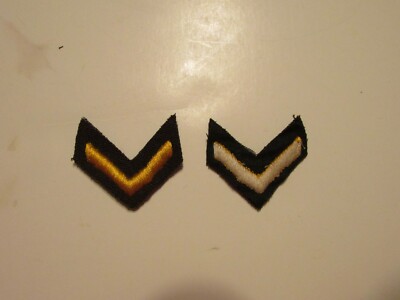 e3024 WW2 US Army Overseas Svc/Wound Chevron for WW1 Vets 6 Mon/1 Wound ...