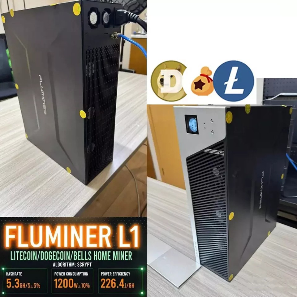 Brand New Fluminer L1 Doge LTC BEL Coin Miner 6 Gh/s 1400W Home Miner ...