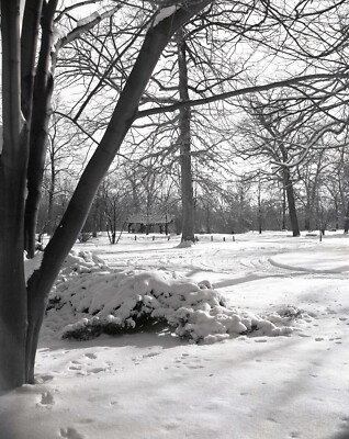 Snow & Ice Winter Lafayette IN Large Format (4X5) B&W Negative 1981 ...