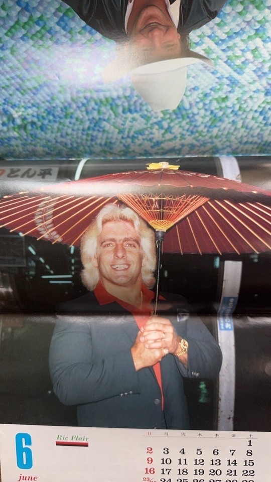 1985 calendar GONG Hulk Hogan Ric Flair Bruiser Brody Dynamite Kid Stan ...