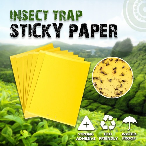 Yellow Sticky paper Insect Trap Catcher Killer Fly Aphids Wasp Oz Up To ...