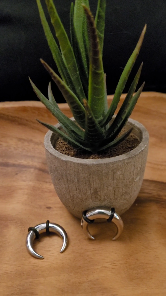 Pick 2 Sizes: Steel Pinchers Tapers Horseshoes Gauges Nose Septum ...