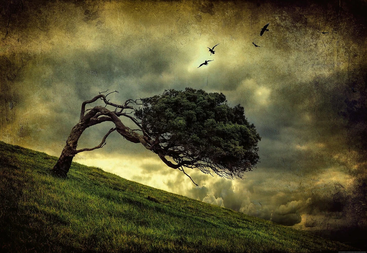 Vintage Tree Wallpaper Desktop