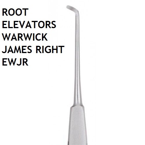 DENTAL INSTRUMENT ROOT ELEVATORS WARWICK JAMES RIGHT EWJR Short Time on ...