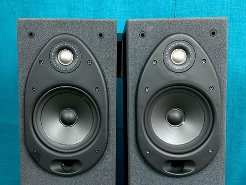 Polk Audio RT600 Tower Speakers - 8 ohms 150W - Nice for Medium Sized ...