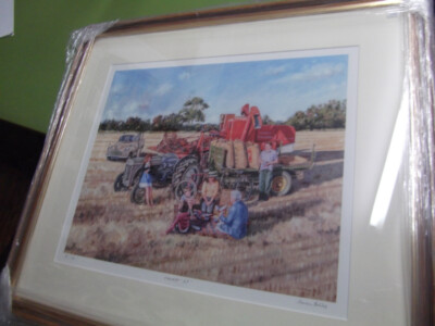 Harvest '65 Framed print by Steven Binks. Massey Ferguson 780 Special ...