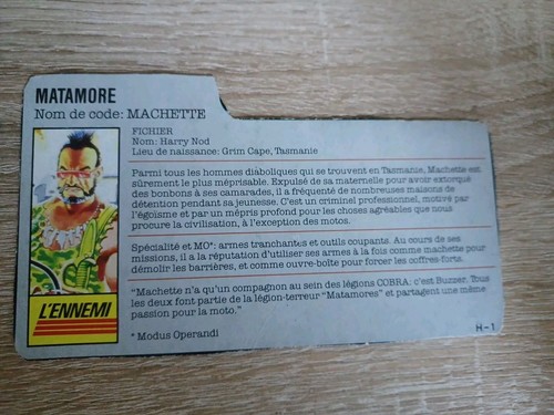 GI Joe Ripper 1985 File Card Française 🇨🇵 | eBay