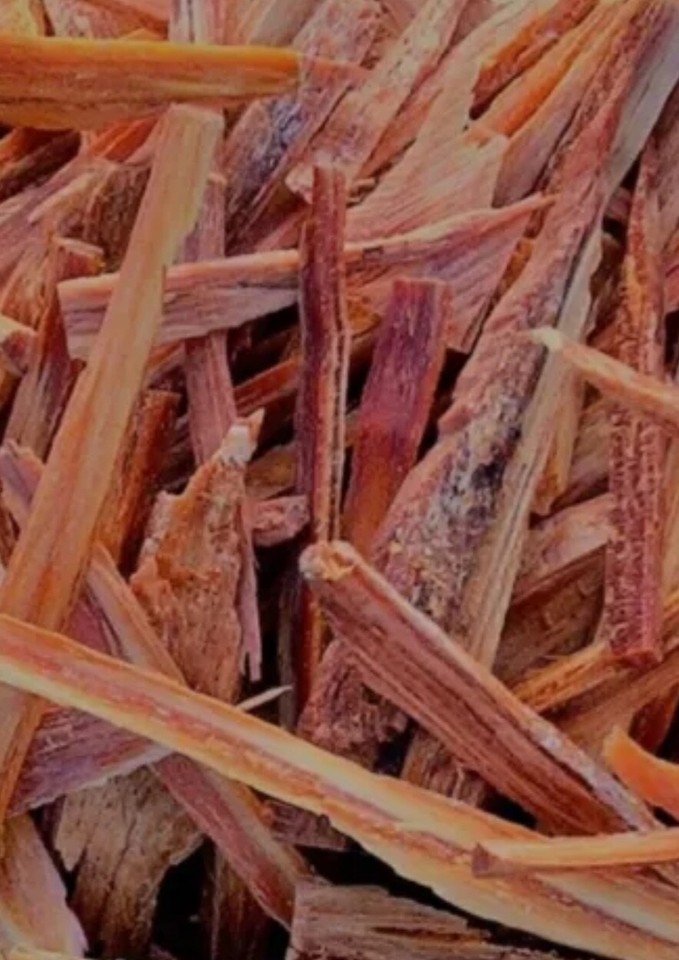 4 lbs Florida fatwood, fat lighter, lighter wood, rich lighter, pine ...