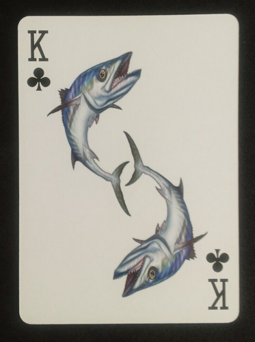 Adventure Thirsty Fish Playing Card Kingfish King Clubs | eBay