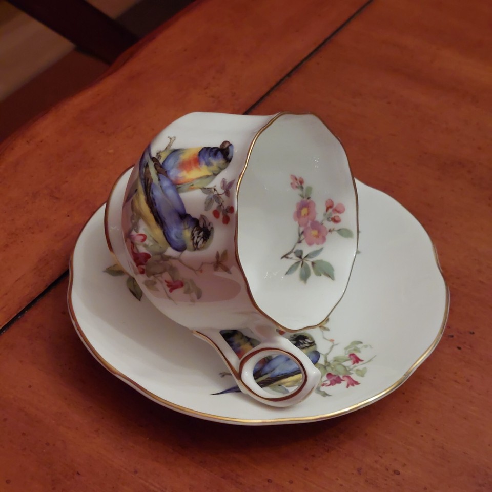Vintage Royal Dover Bone China Teacup & Saucer, Parrot Birds | eBay