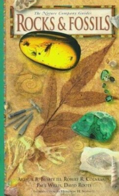 Nature Company Guides Ser.: Rocks and Fossils by David Roots, Arthur B ...