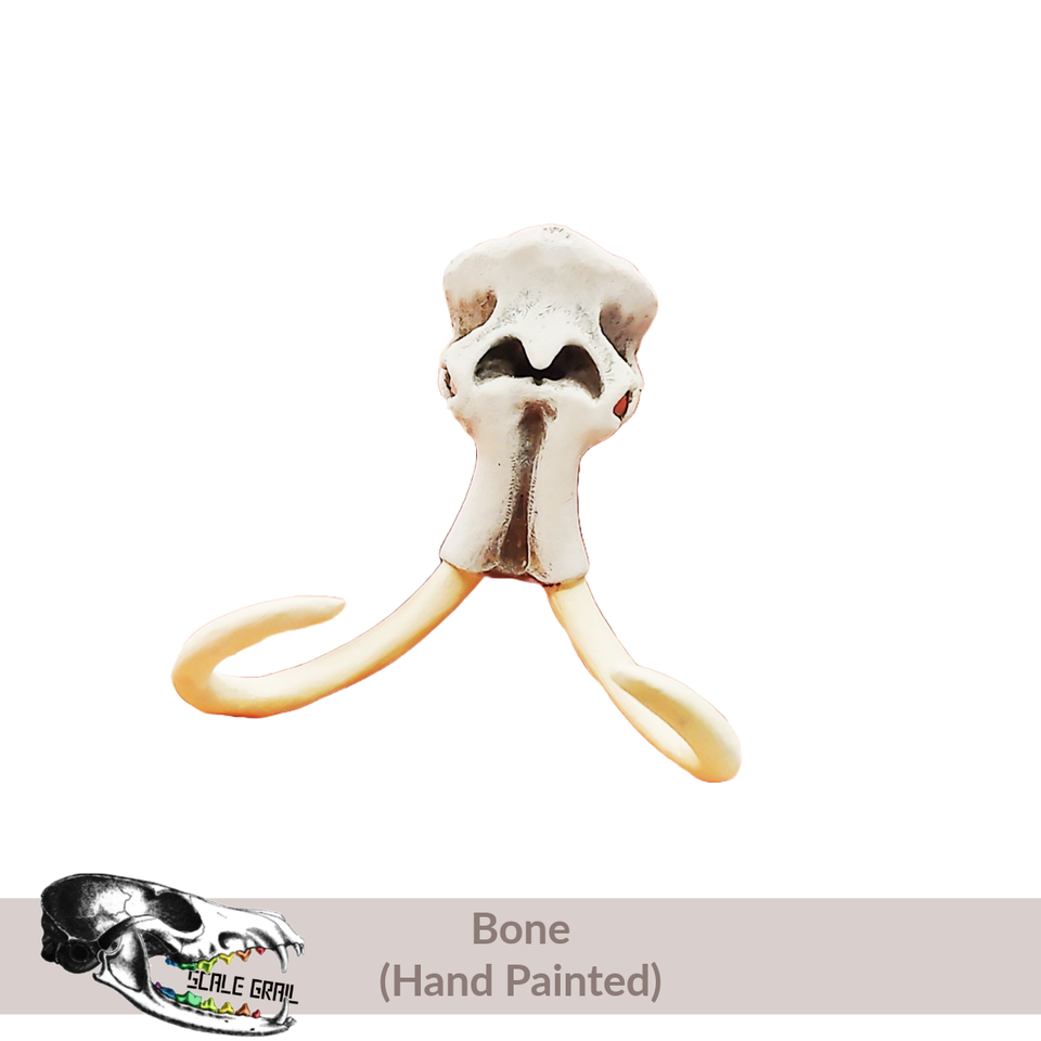 Woolly Mammoth Skull (Field Bones Core Series: Extinct) mini by The ...