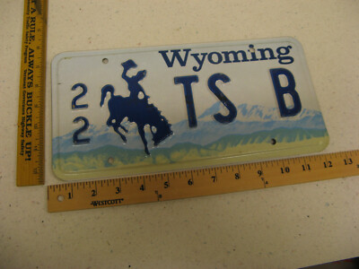 WYOMING WY VANITY LICENSE PLATE #22 TSB TOXIC SPERM BUILDUP - INITIALS ...