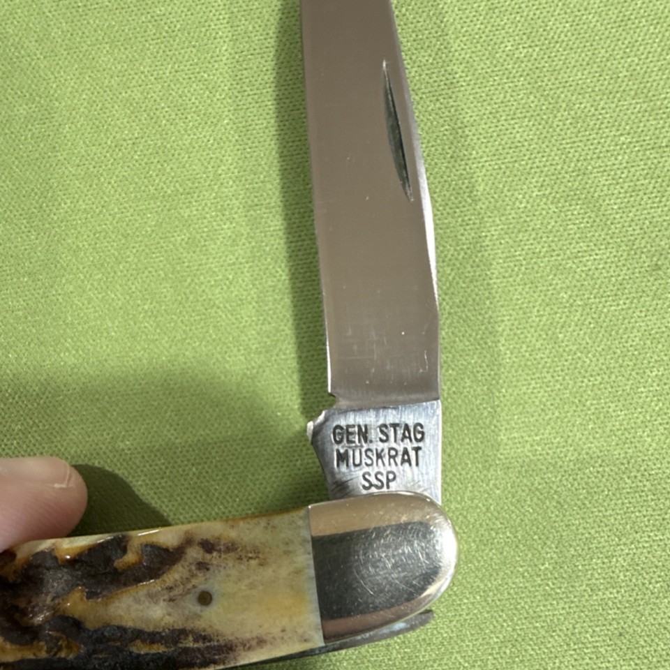 Case XX GEN. STAG MUSKRAT SSP Stag Handle Stainless Steel Pocketknife ...