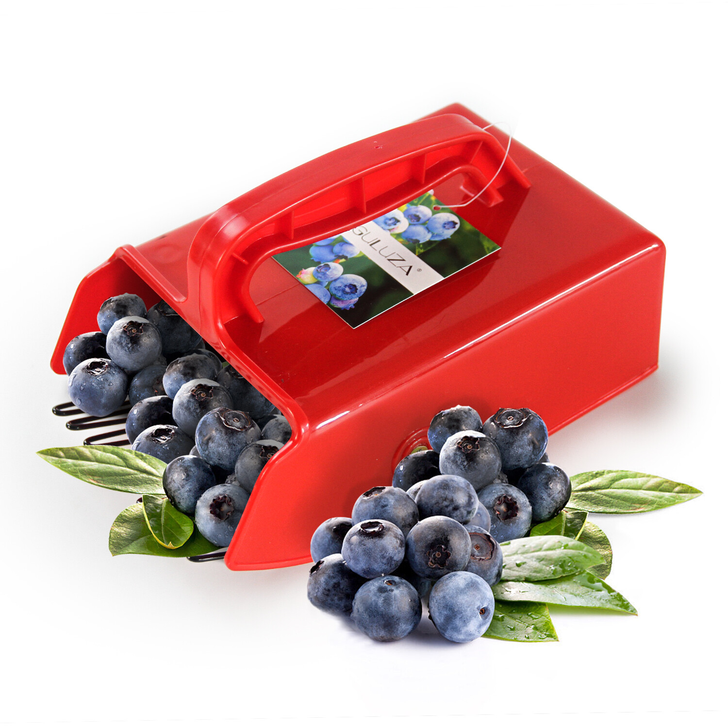 Berry Picker Metallic Comb Blueberry Rake Scoop for Fruit Harvesting 24 ...