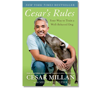 Cesar's Rules: Your Way to Train a Well-Behaved Dog paperback book ...