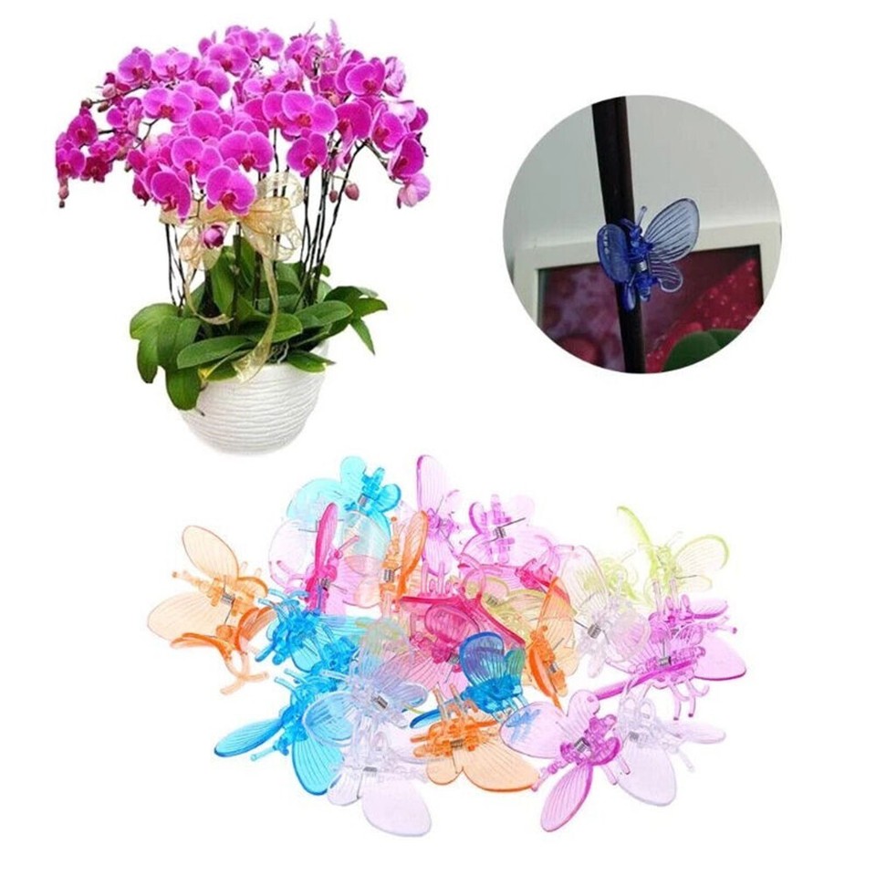 High Quality Plastic Clips for Your Orchids Flowers and Vines Pack of ...