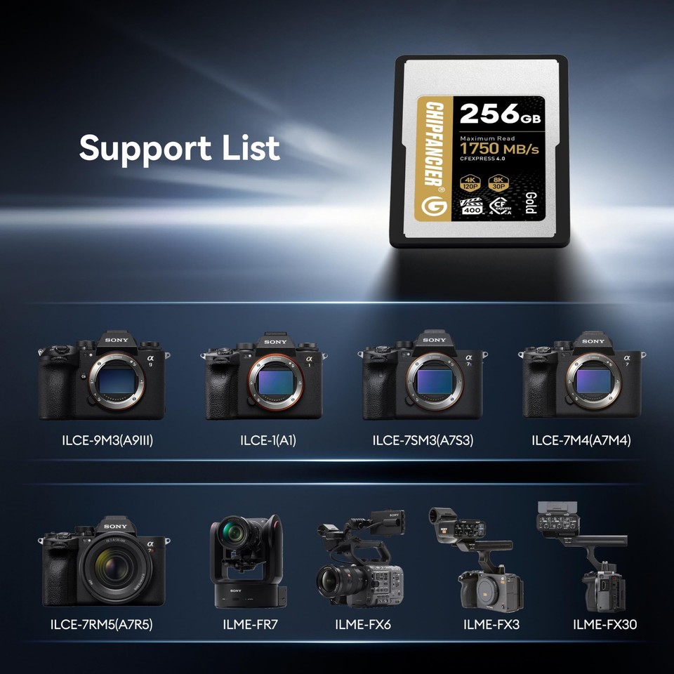 256GB CFexpress 4.0 Type A Card Up to 1750MB/s Read Speed & 1750MB/s ...