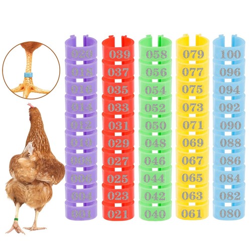 16mm 100 Pcs Chicken Leg Rings - Colorful Readable Numbered Chicken ...