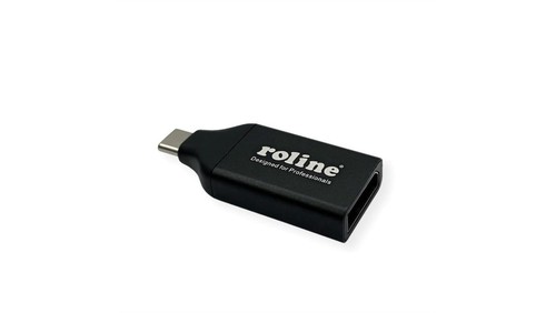 ROLINE Display Adapter USB Type C - DisplayPort v1.2 | eBay