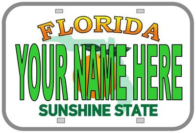 Novelty Number Plate, Personalsed Fun American Florida Licence Plate ...